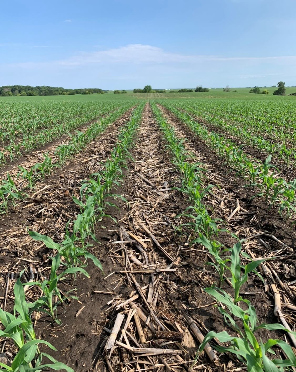 D&M Precision Ag | Lowpoint, IL | Farm Equipment & Solutions